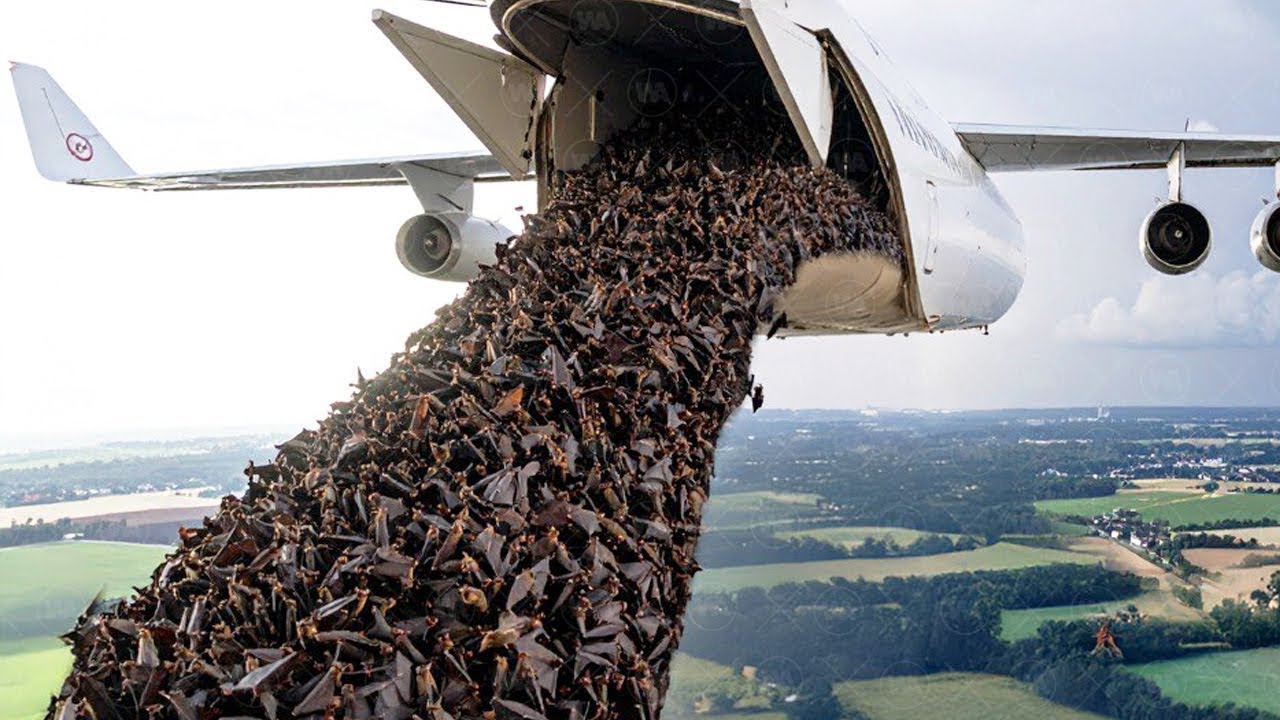 Comment Les États Unis Ont Voulu Faire Capituler Le Japon - YouTube