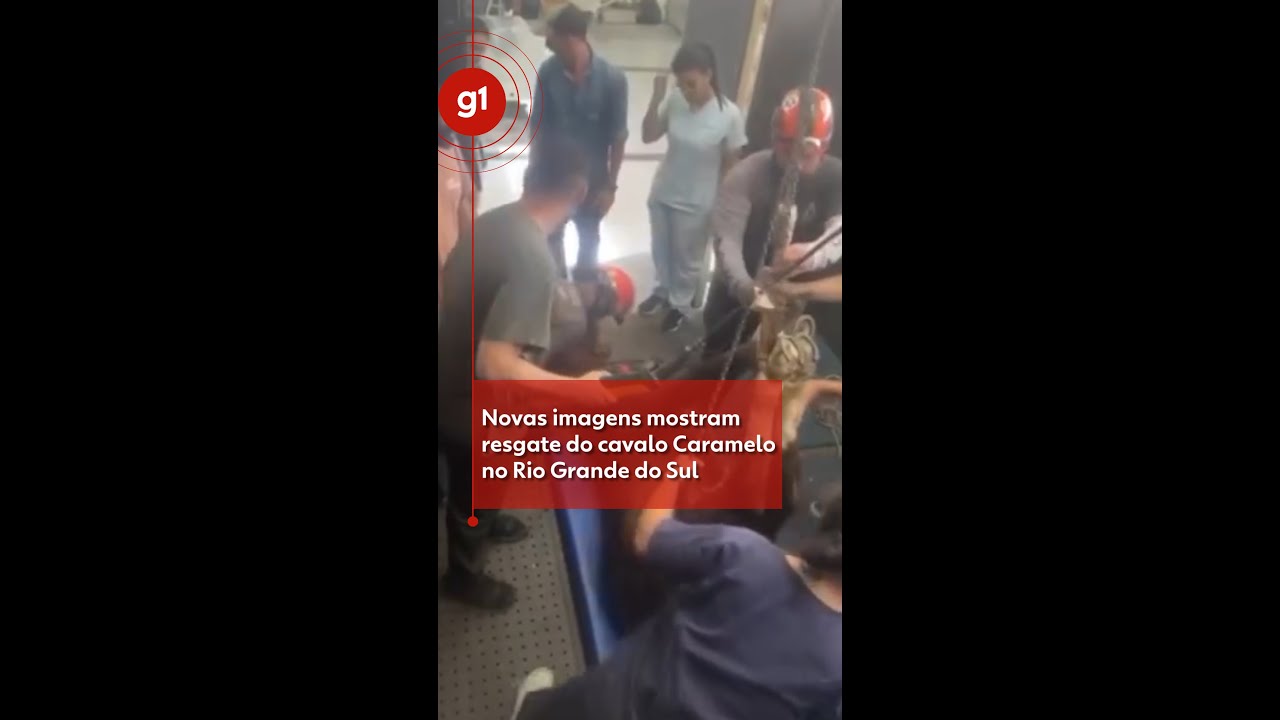 Novas imagens mostram resgate do cavalo Caramelo e o esforço para ...