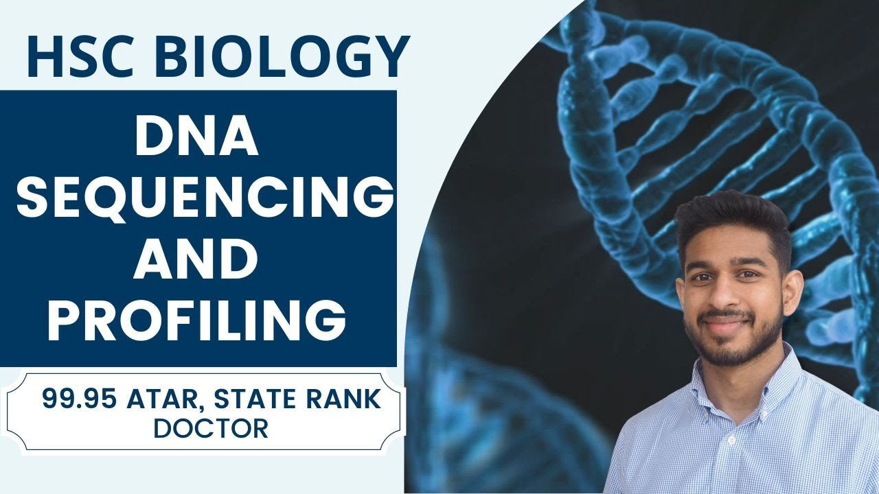 HSC Biology Module 5 | DNA Profiling, Sequencing and DNA Analysis - YouTube