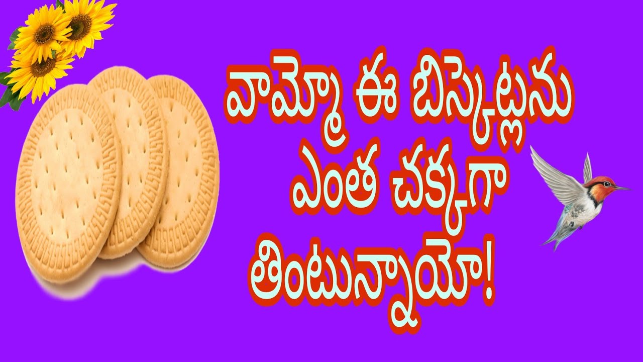 Love birds Eating biscuits - YouTube