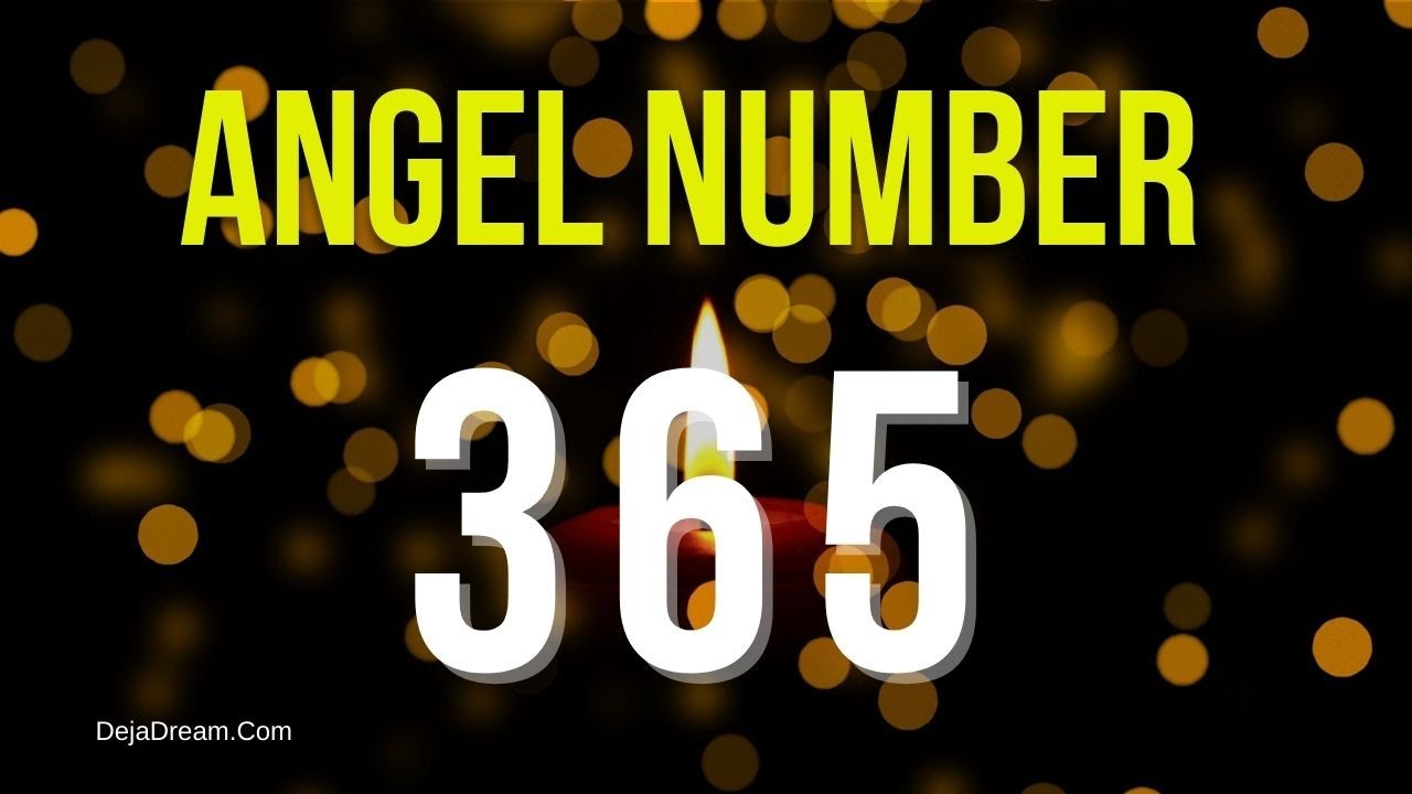 Angel Number 365 And Its Positive Influences In Your Life - YouTube
