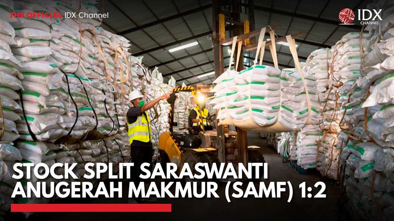 Stock Split Saraswanti Anugerah Makmur (SAMF) 1:2 | IDX CHANNEL - YouTube