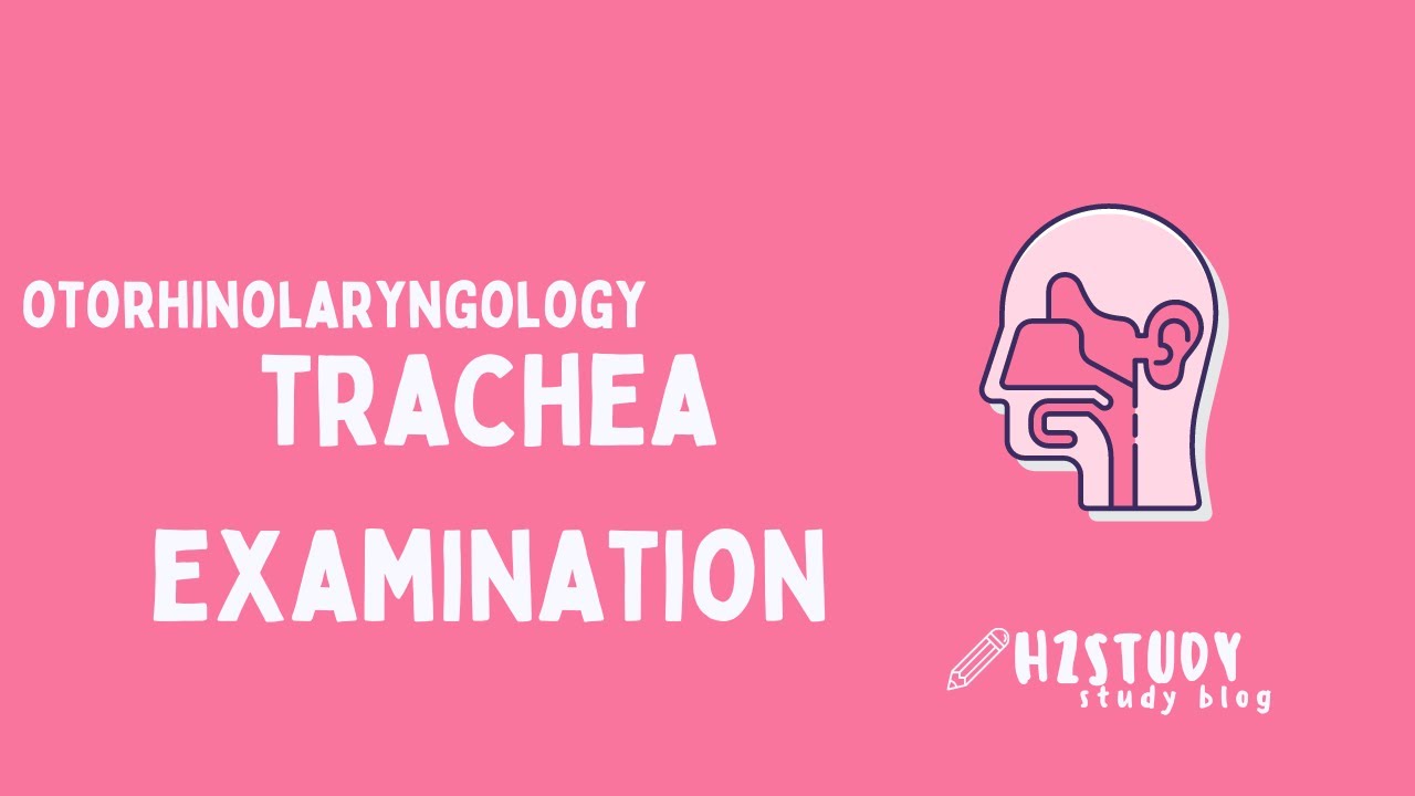 Otorhinolaryngology | Trachea Examination - YouTube
