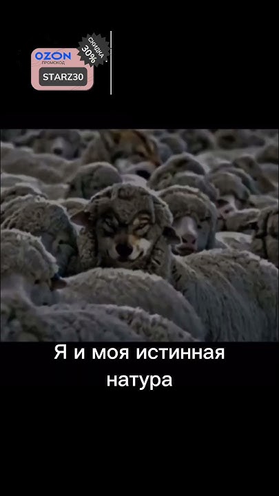 Я наивная Youtube