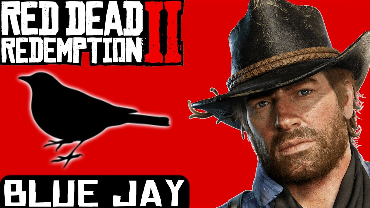 RDR2 | Blue Jay Location - YouTube