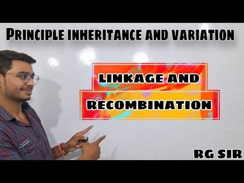 LINKAGE and RECOMBINATION CLASS 12 BIOLOGY GENETICS ( CBSE , ICSE , ICE ...