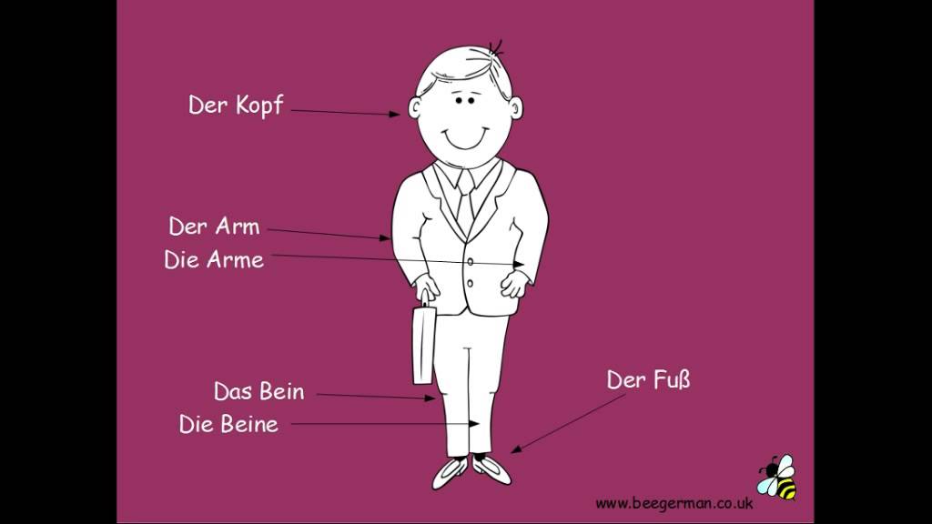 German Course for Children The body Der Körper 12 - YouTube