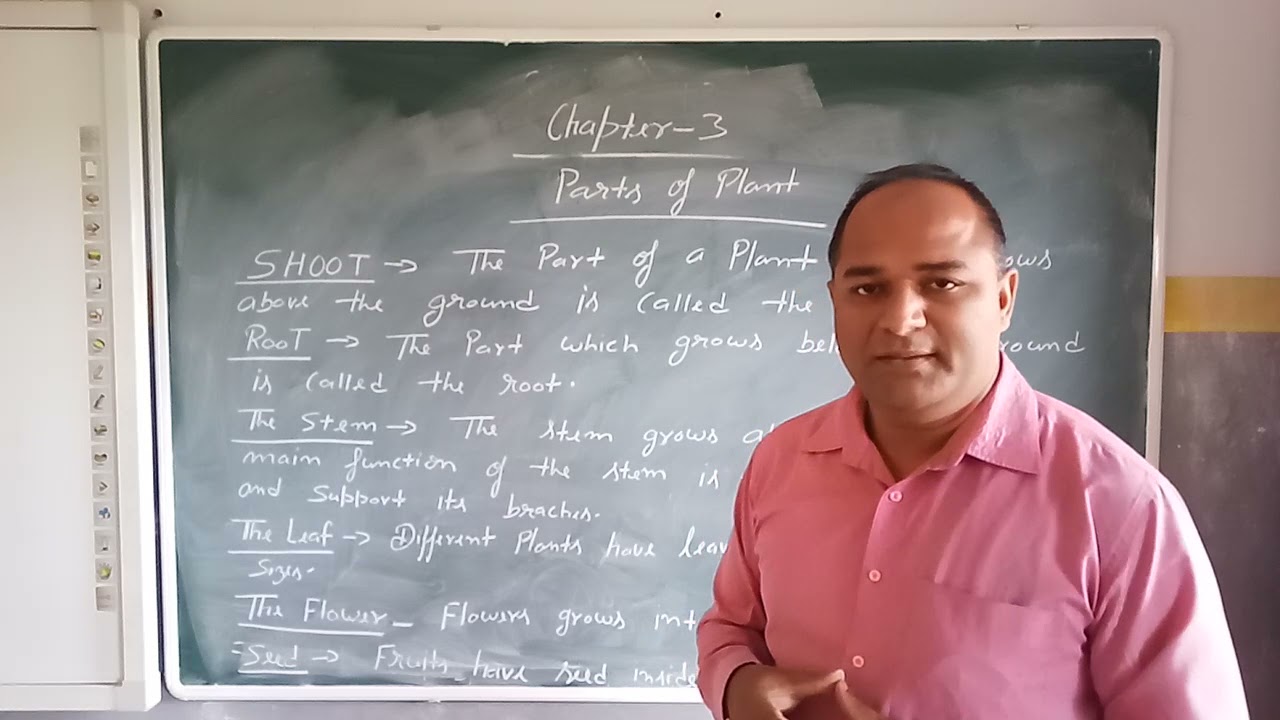 Chapter 3 Parts Of Plant Class 3 YouTube Chapter 3 Parts Of Plant Class 3 YouTube
