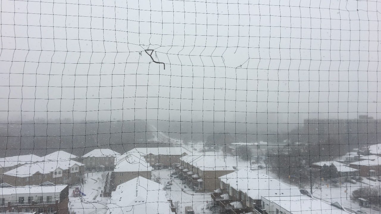 Live Toronto Weather | Toronto Flurries and Snow Showers | Toronto HD ...