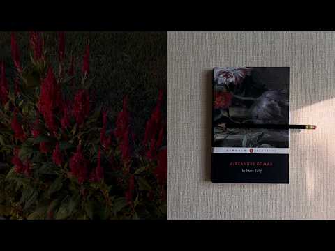 two weeks in September: fall paraphernalia, tulip mania, good books