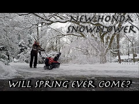 Will Spring Ever Come? - YouTube