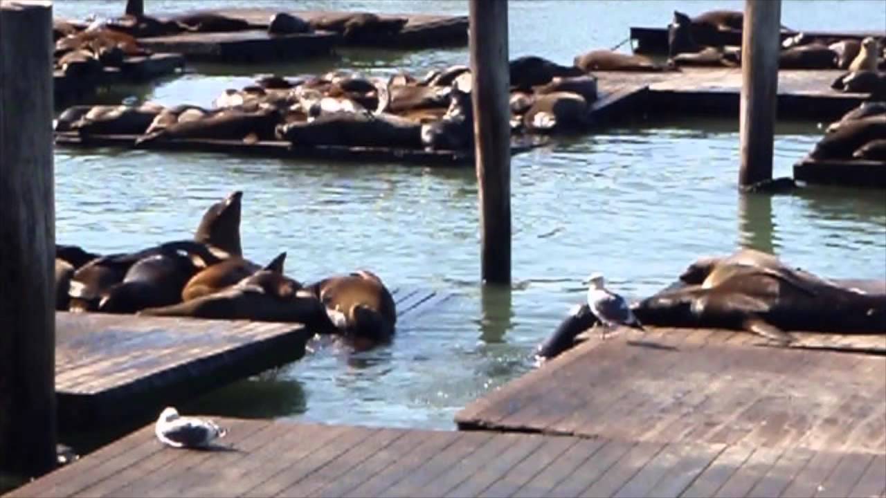 Travel Videos - YouTube