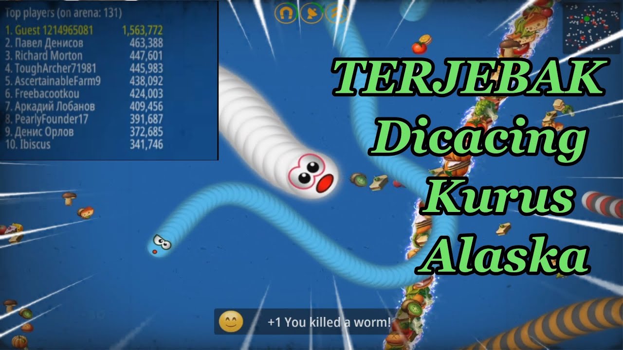 Memakan semua cacing alaska,Langsung peringkat 1 dunia - Worms Zone ...