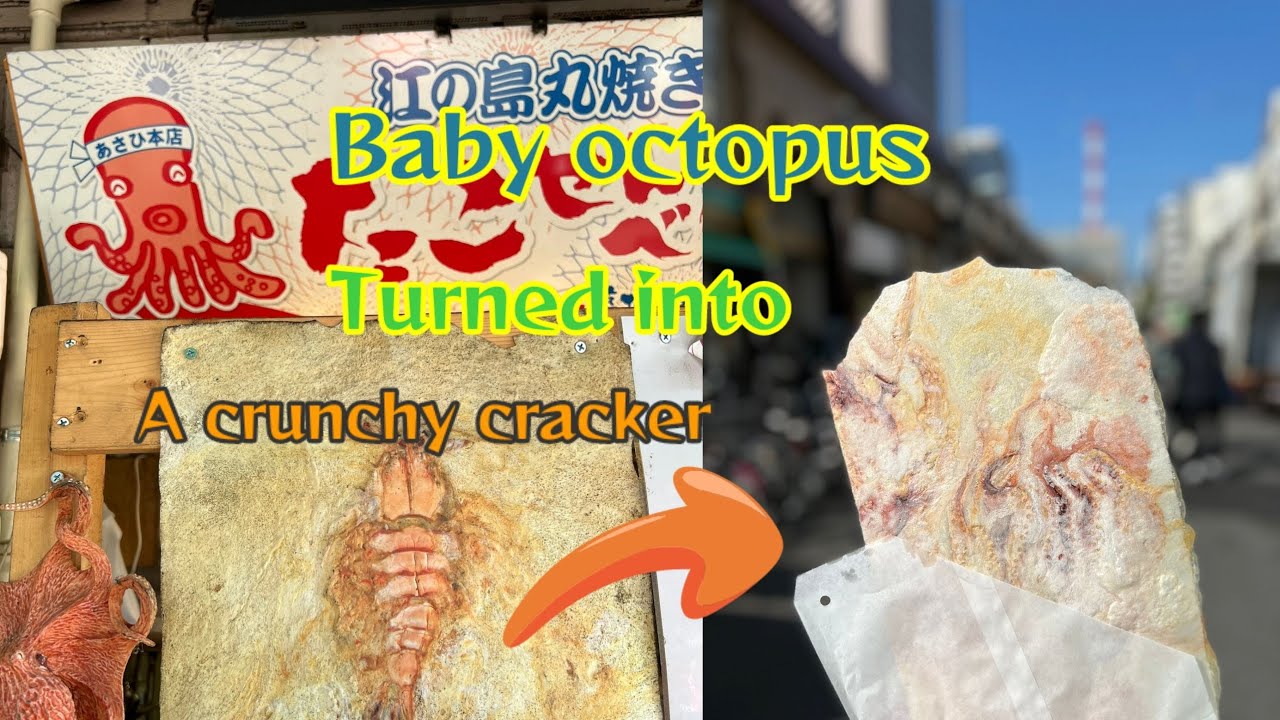 HOW A BABY OCTOPUS TURNED INTO A CRISPY CRACKER/SEAFOOD CRACKER/Dhee's ...