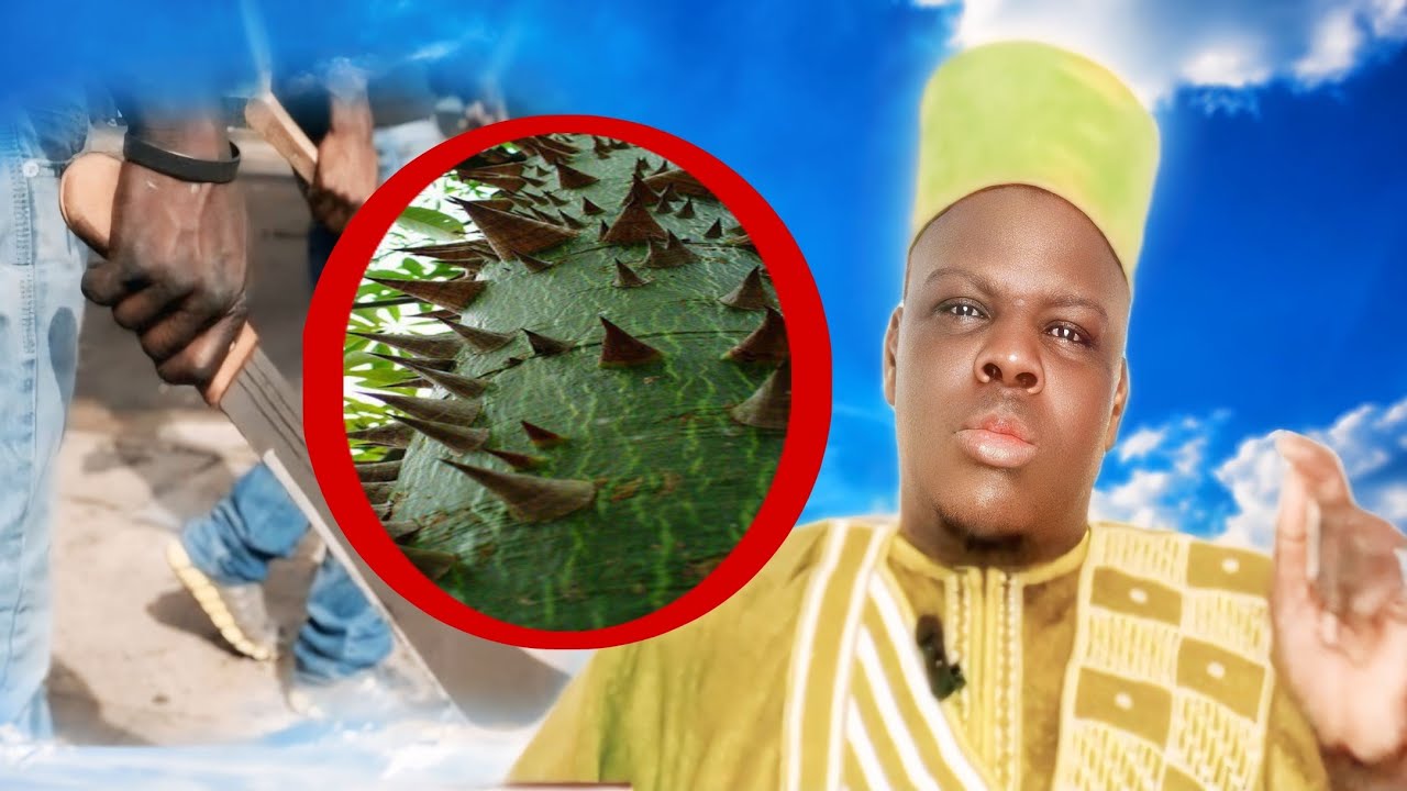 xamxam si Lou la moussal si agression ak di la ar si ligueye bou bonne ...