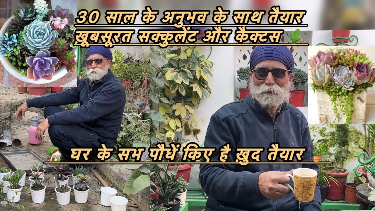 succulents, bonsai, cactus and all indoor plants with home tour 🏡 , you ...