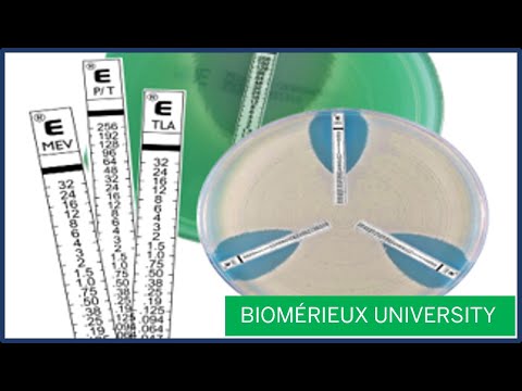 ETEST: Use of the SIMPLEX 76 to Apply ETEST Strips - YouTube