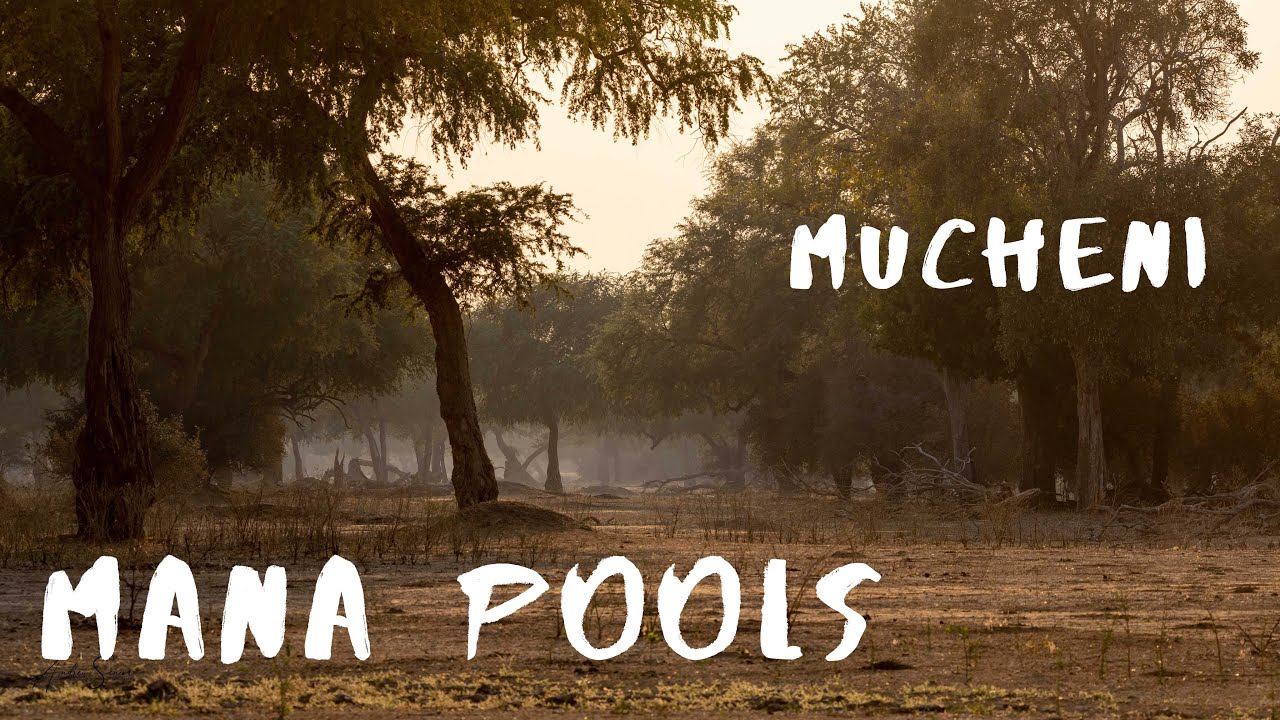 Mana Pools - Episode 2 - Mucheni - YouTube