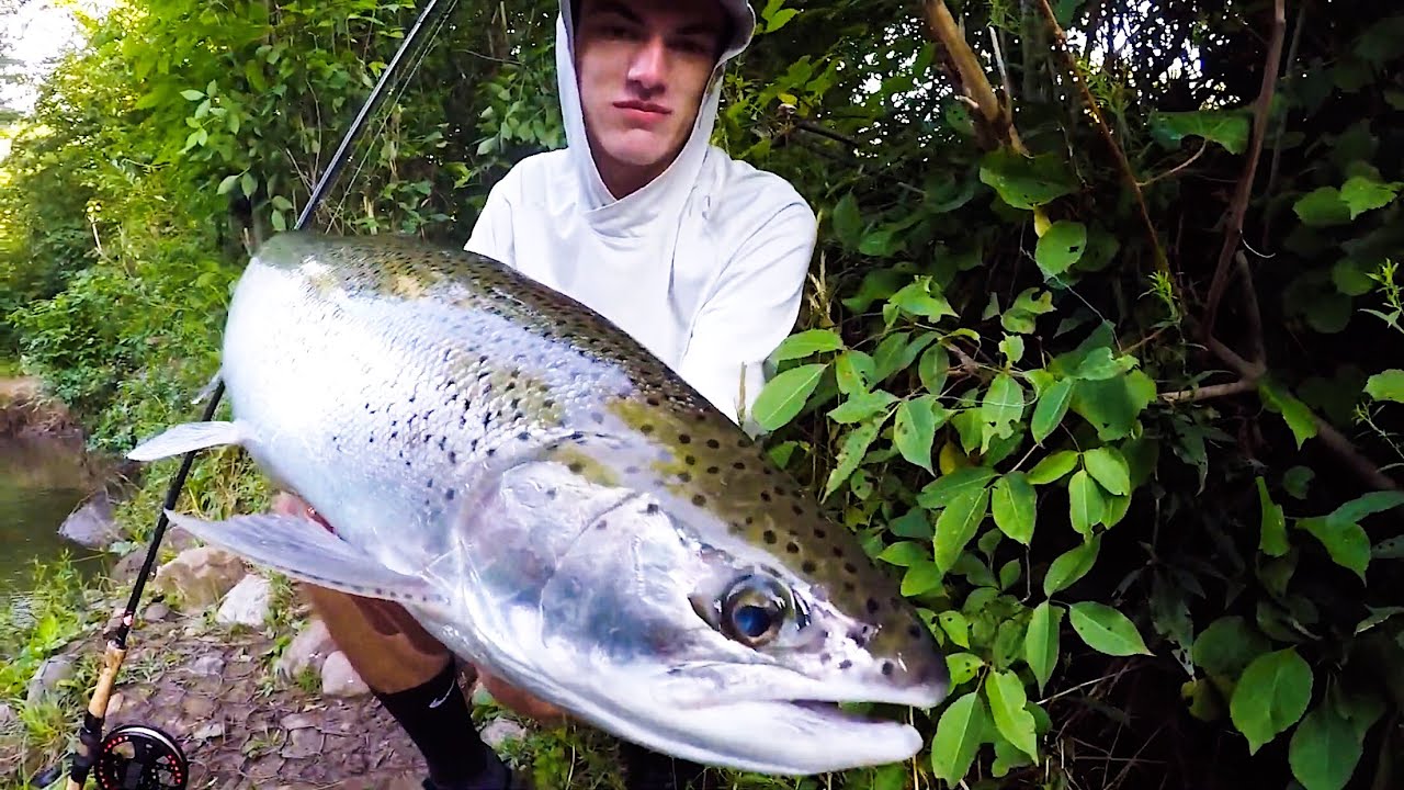 CENTERPIN FLOAT FISHING for GIANT STEELHEAD!! (Part 1.) - YouTube