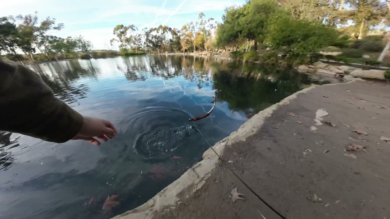 Kenneth Hahn Park Fishing Kenneth Hahn State Recreation Area – Parks