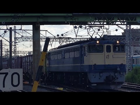 【ニゲトップ牽引遅5086レ】JR貨物 EF65 2101号機+コキ20B 新A26仕業[5086レ] 札幌タ行 花月総持寺踏切通過！ - YouTube