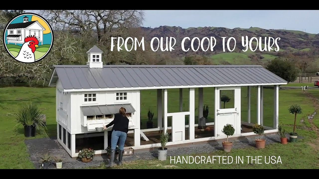 Carolina Coops - From Our Coop to Yours - YouTube