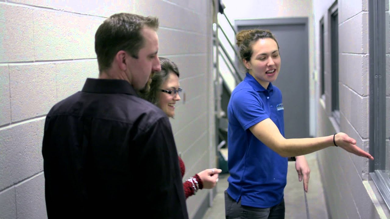 Penguin Marriage Proposal! - YouTube