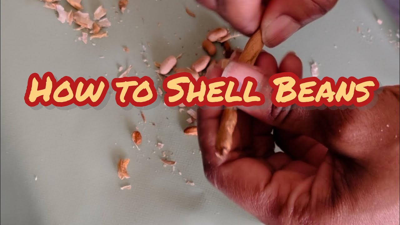 How to Shell Beans | Season 5 | E21 - YouTube