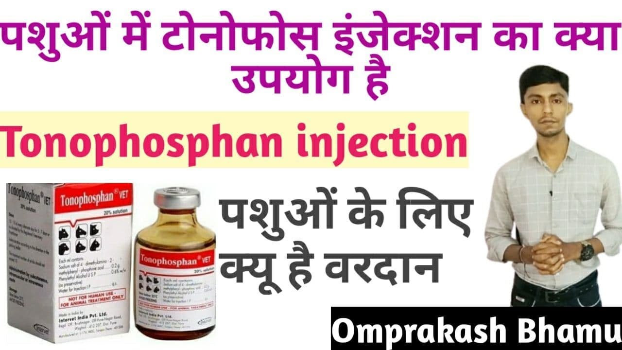 Tonophosphan (टोनोफोस) injection पशुओं के लिए वरदान क्यों है/ पशुओं के ...