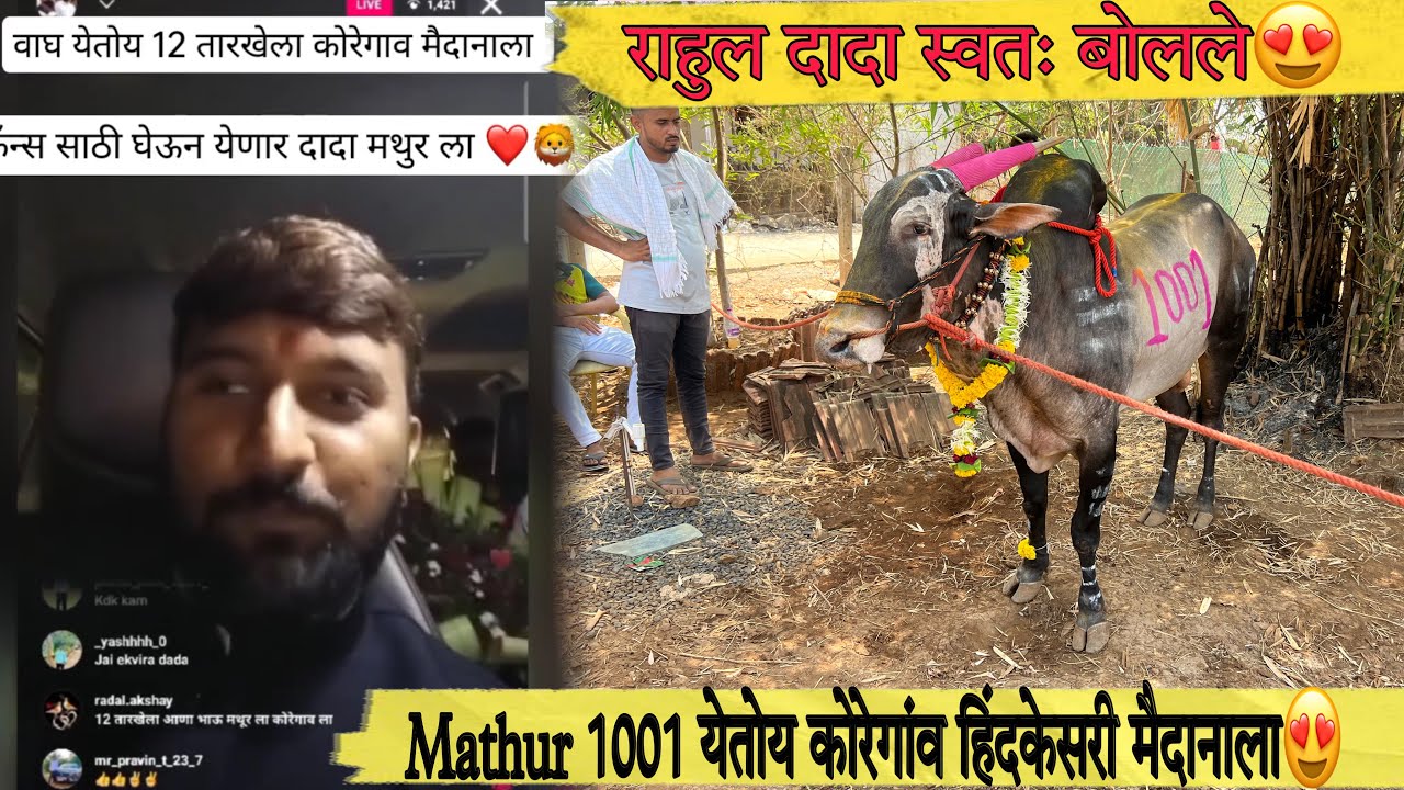 Mathur 1001 येतोय कोरेगांव मैदानाला😍 | फॅन्स साठी पळवणार राहुल दादा ...