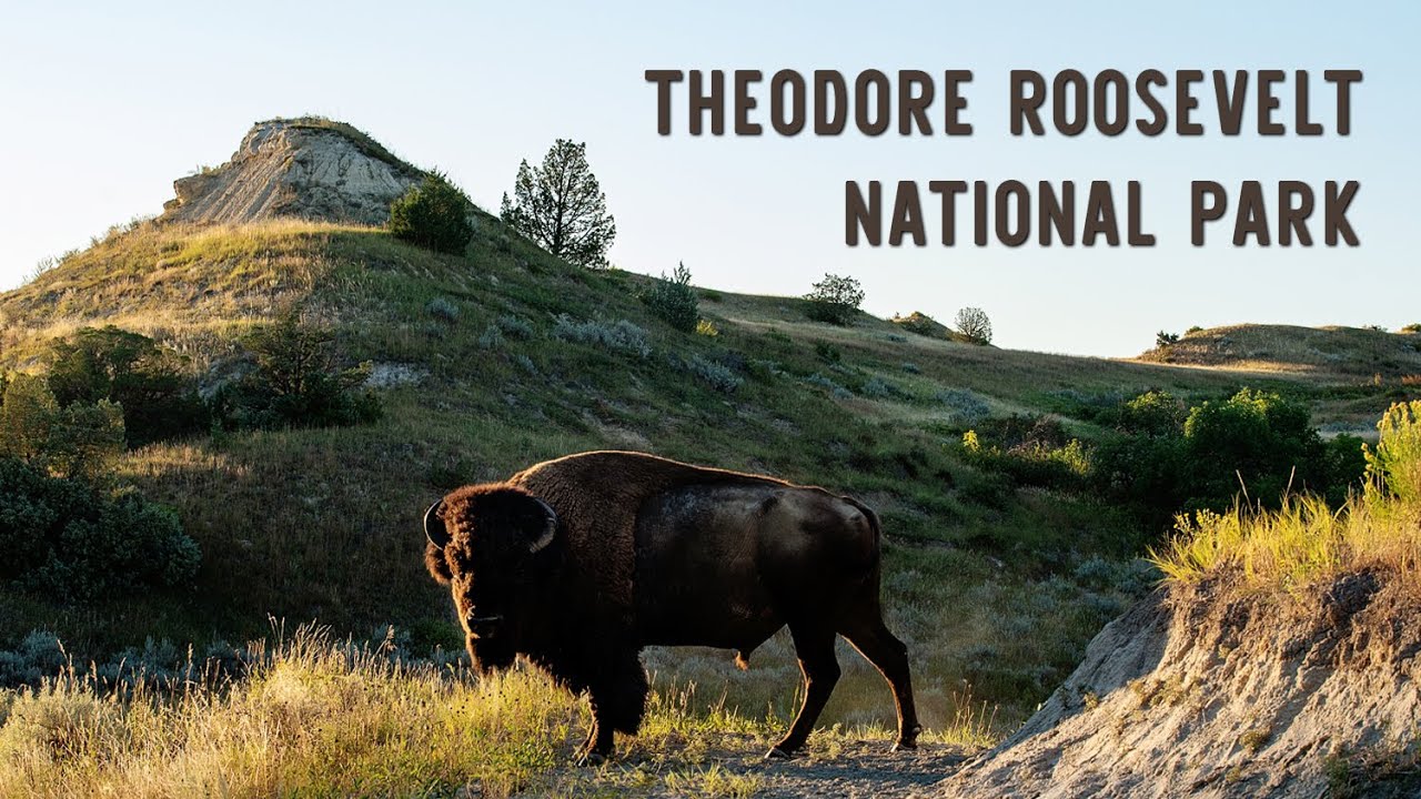 Theodore Roosevelt National Park North Dakota - YouTube