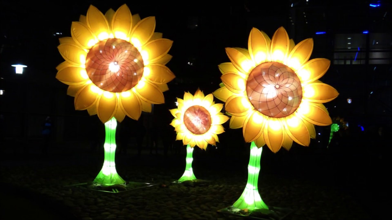 Netherlands: Eindhoven - Some colors of GLOW 2019 - YouTube