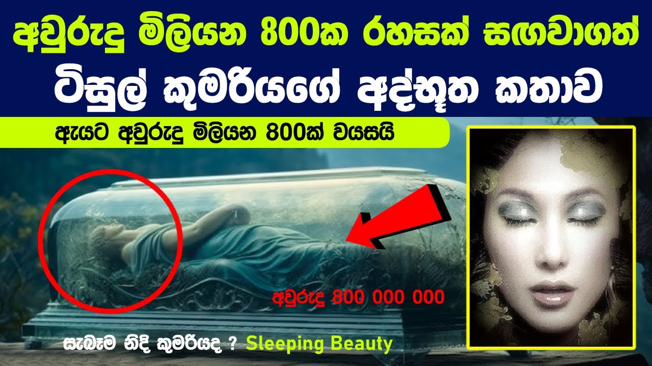 අවුරුදු මිලියන 800 ක රහසක් සඟවාගත් ටිසුල් කුමරියගේ අද්භූත කතාව | The ...