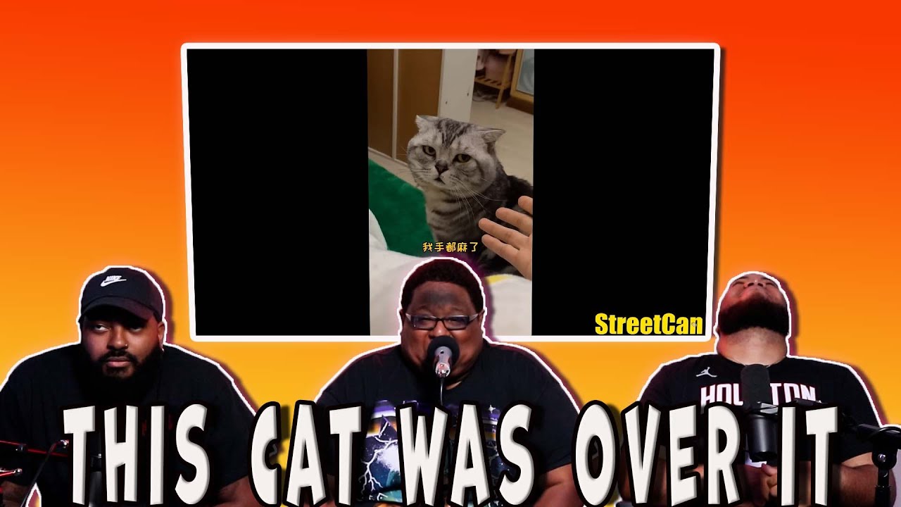 YOU LAUGH YOU STUB YOUR TOE | MEMES (TRY NOT TO LAUGH) - YouTube