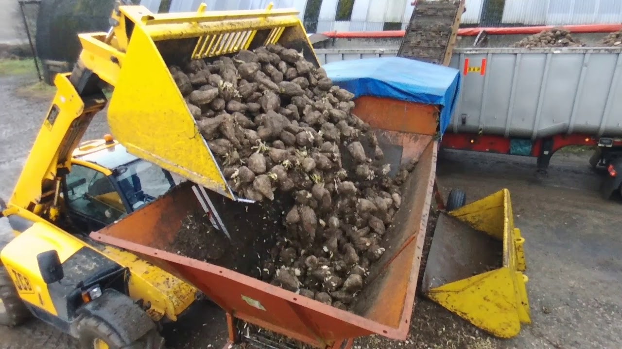 Loading sugar beet drone footage - YouTube