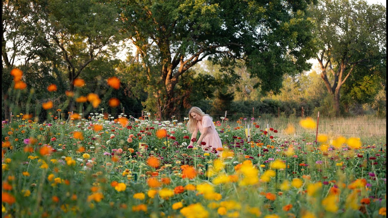 All About Spring Flower Farming - Live Q&A - YouTube