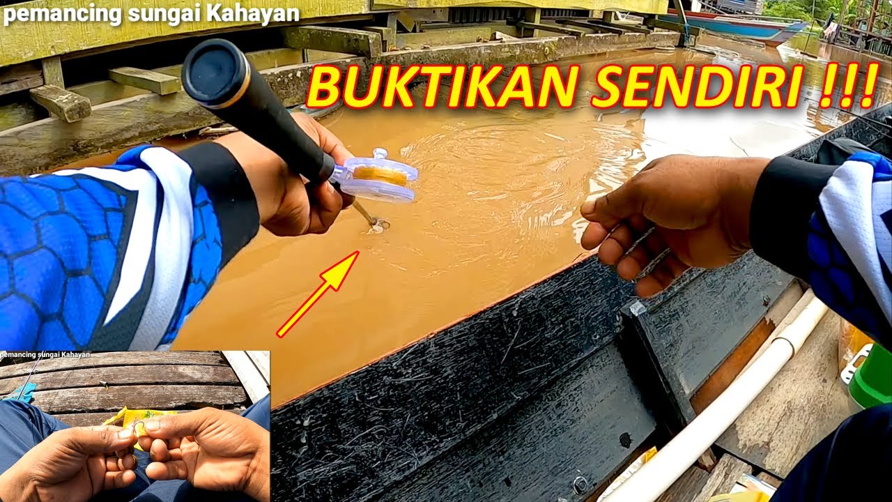 Begini Tips Cara Pasang Umpan Roti Yang Benar , Supaya Selalu Strike ...