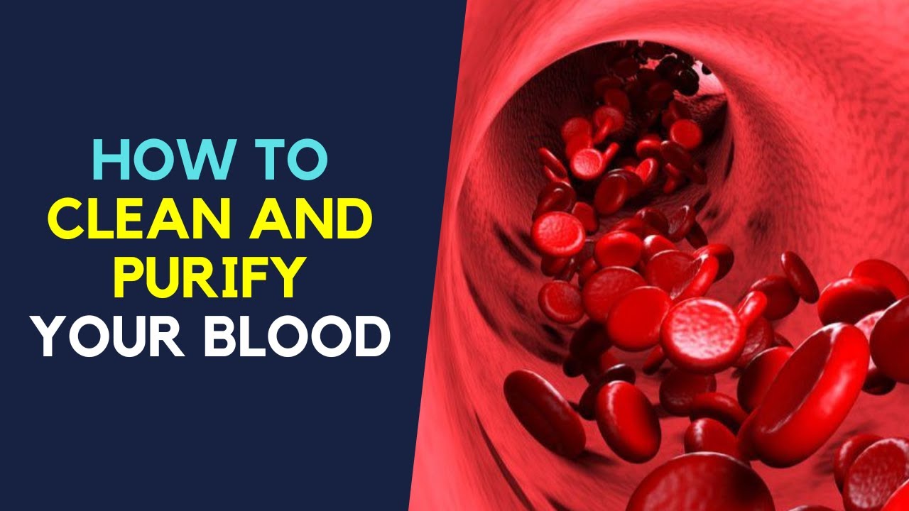 How To Clean and Purify Your Blood - YouTube