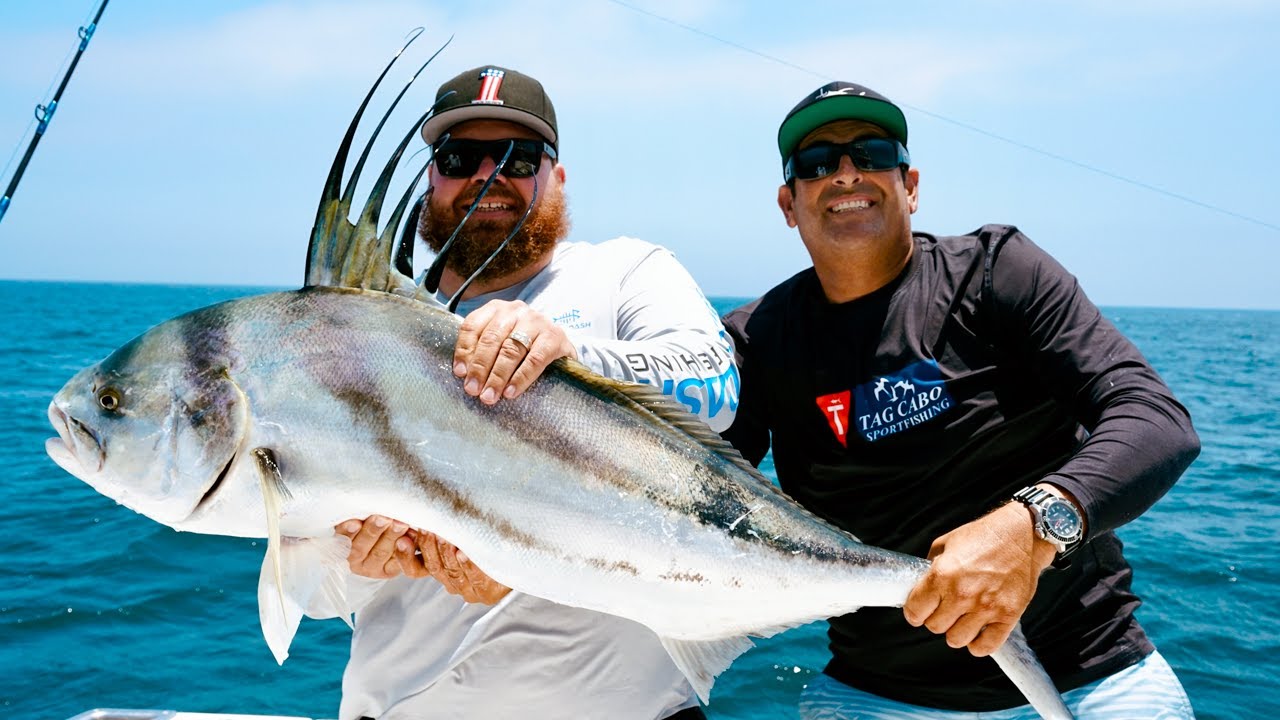 Inshore Roosterfish Action: Live Mullet Fishing in Cabo's 30-Foot ...