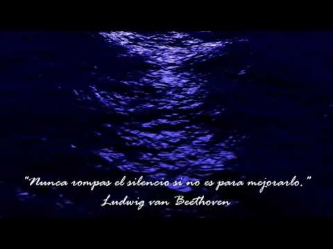 Beethoven   Sonata Claro de Luna 60 Minutos  musica clásica Piano para Estudiar y Concentrarse