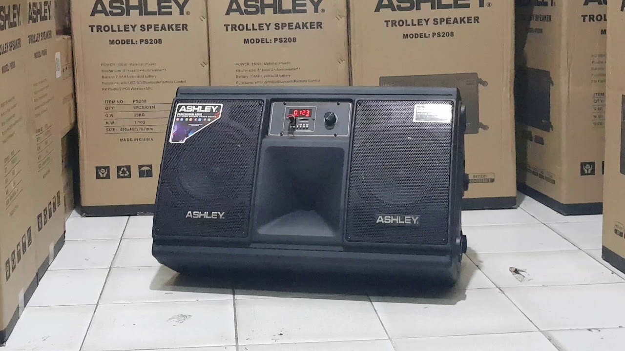 Demo wireless speaker portable ASHLEY PS208,model mini line array. + 2 ...