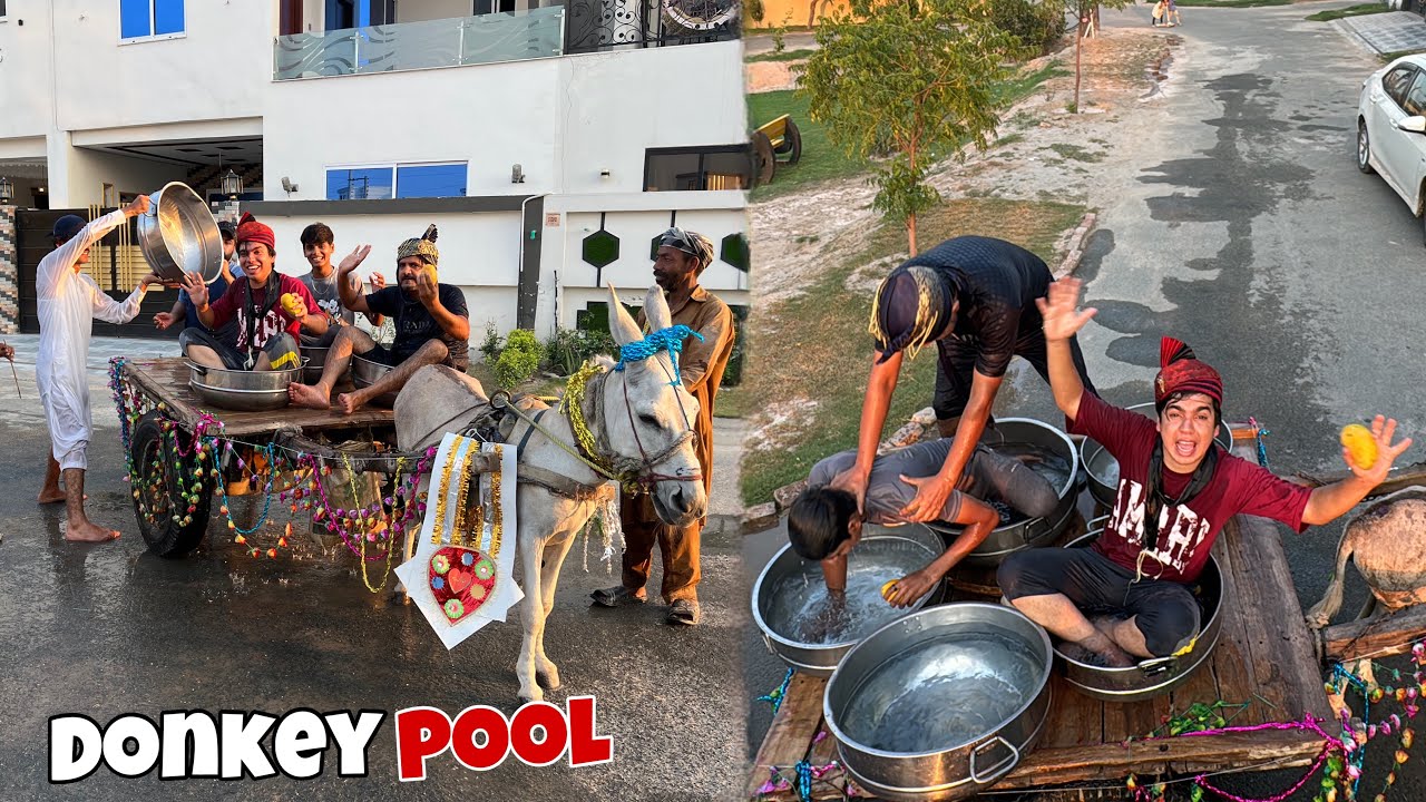 Pool Party in A Donkey 😂 Donkey Ko Swmming Pool Bana Dea - YouTube