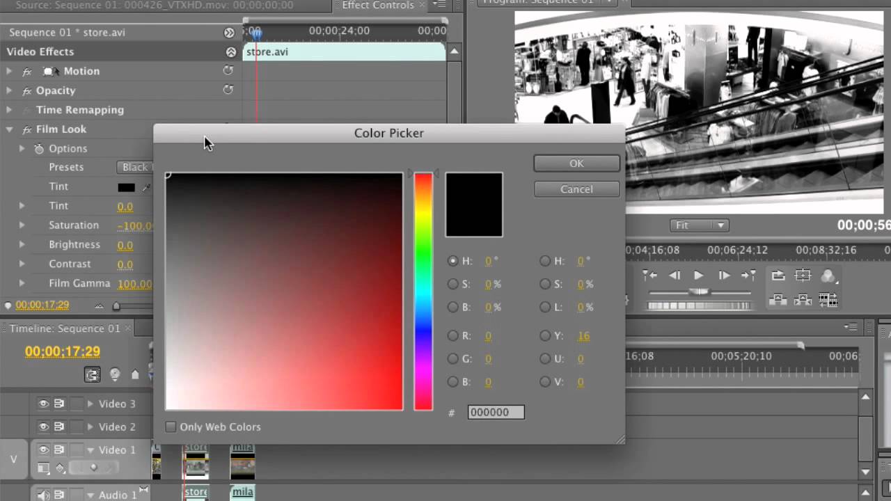 Creating a Cinematic Feel with Film Color and Adobe Premiere Pro - YouTube