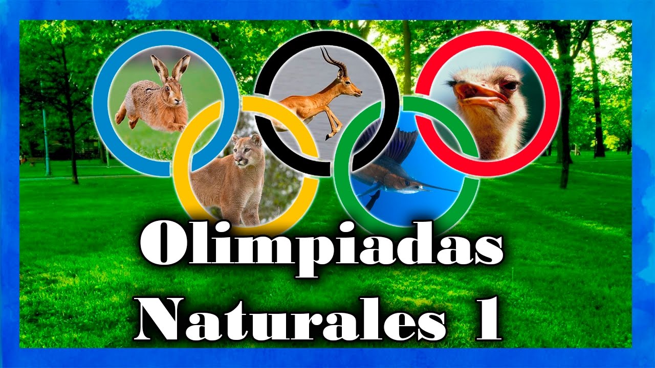 Olimpiadas Naturales - Vol1 - YouTube