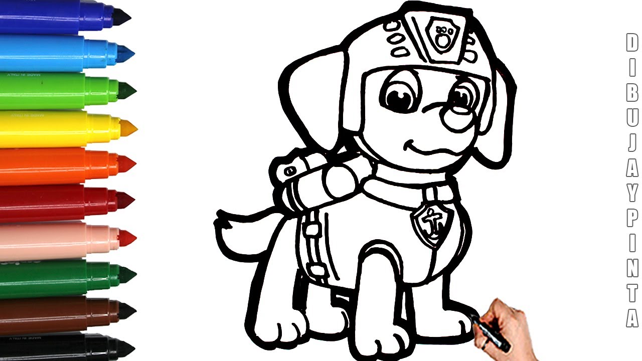 Cómo Dibujar y Colorear a ZUMA de PAW PATROL PASO A PASO How to draw ...