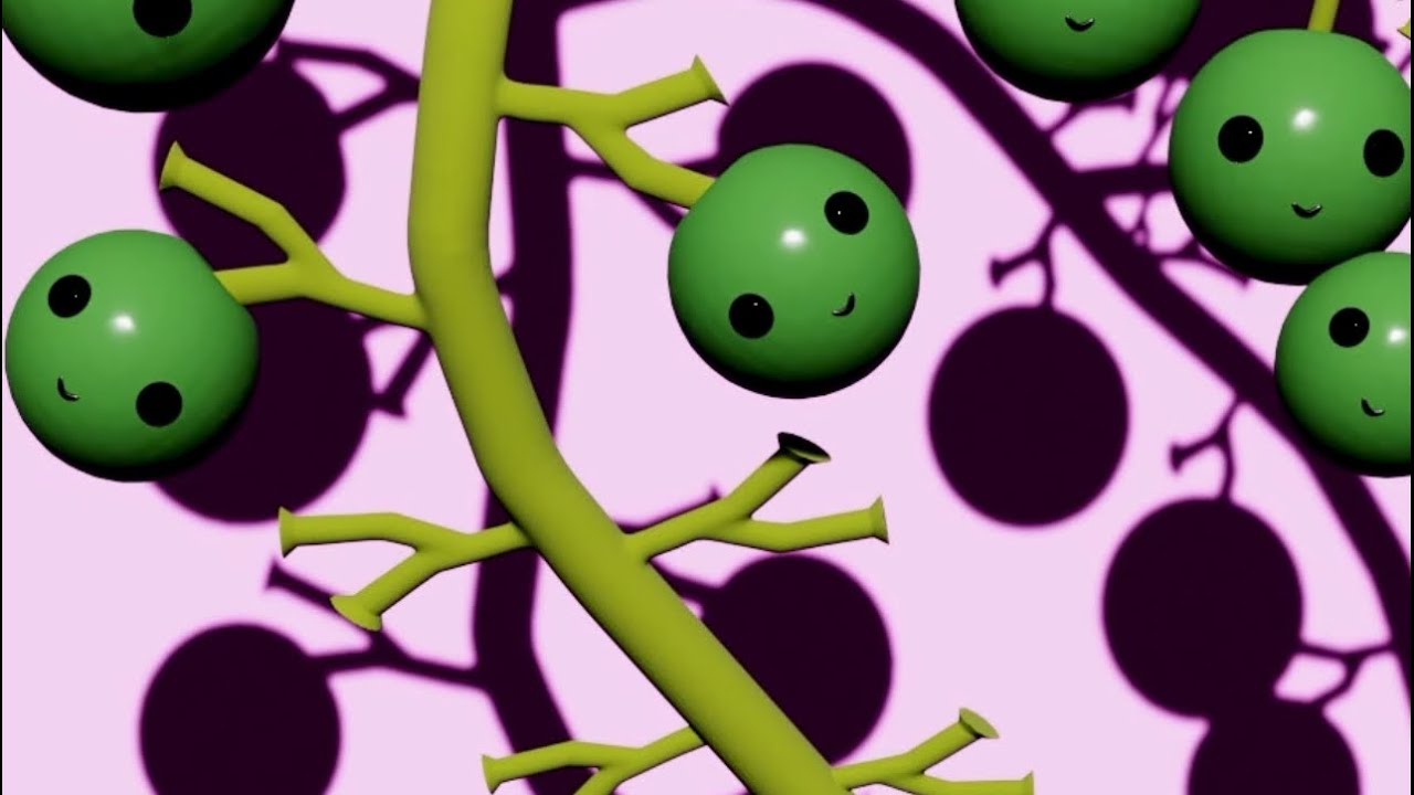 Grapes dancing! - YouTube