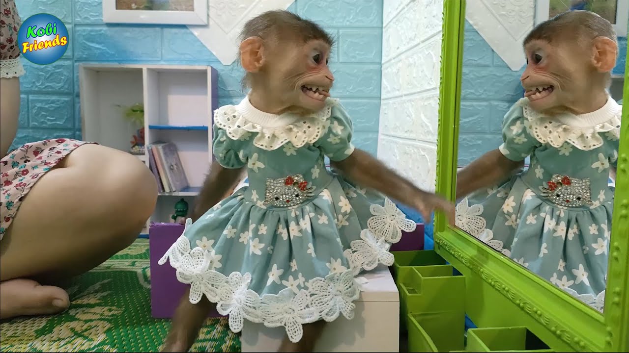 Summary of Cute Monkey Kobi best of 2022 - YouTube