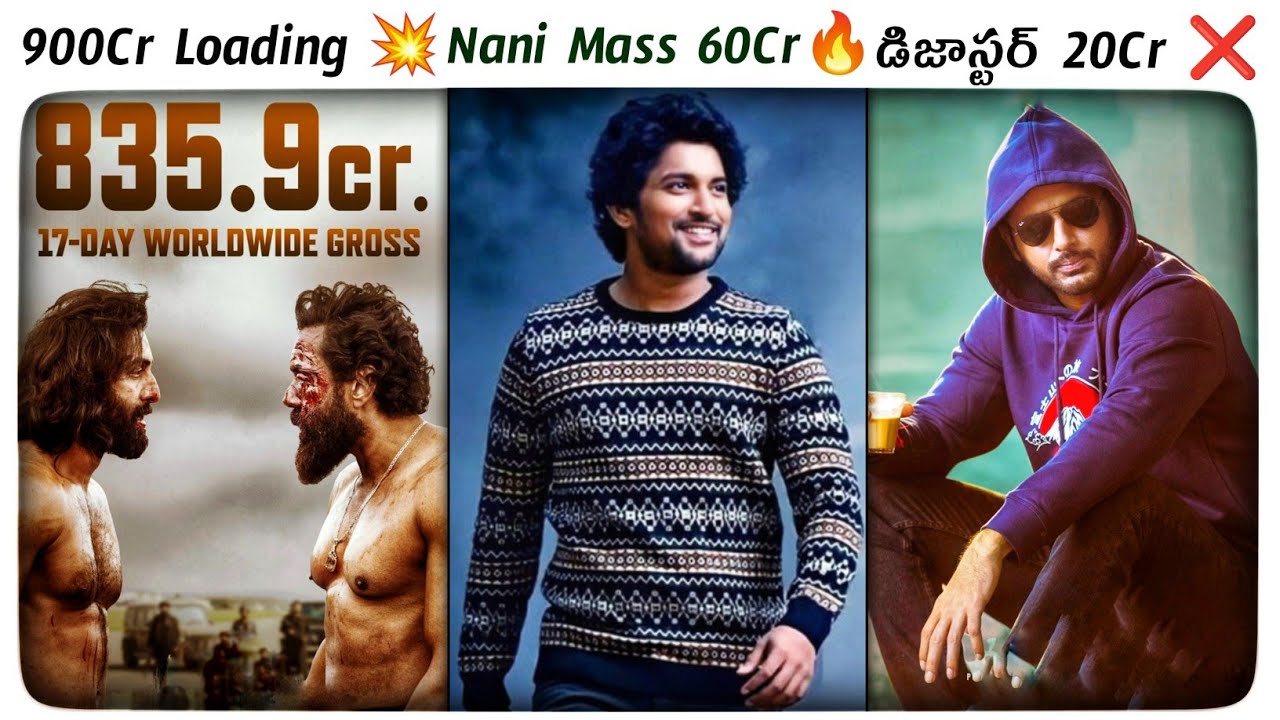 Animal 17Days Collections | Hi Nanna 11 Days Collections ...