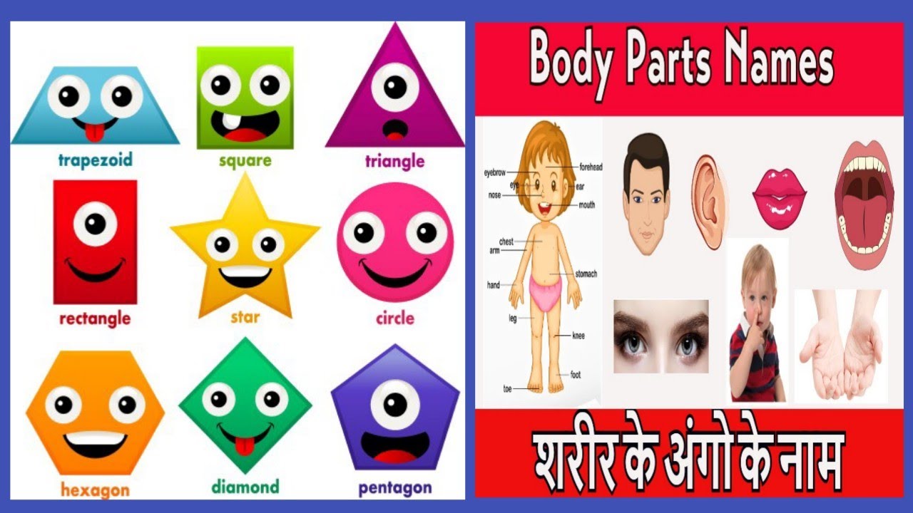 shapes| parts of body| worksheets for kids| matching worksheets for ...