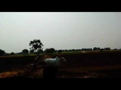 Chandol yetil 1 nambrache mankri singham , lakshya - YouTube